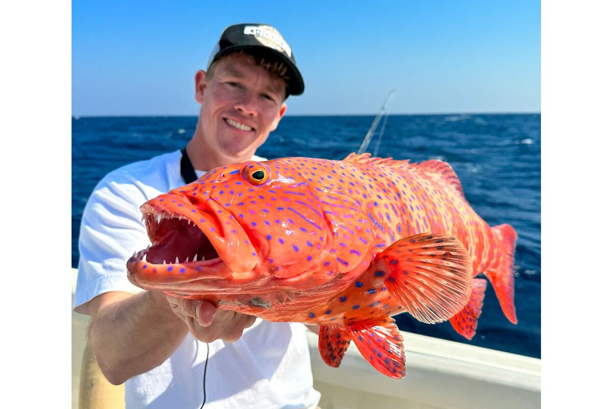 Big Game Fishing In Hurghada: Exploring the Thrill of Sport Fishing in ...